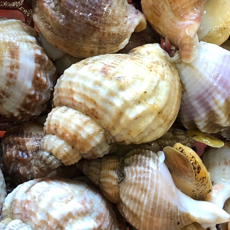 BULOTS - Vanzemarée